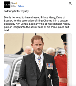 Prince Harry and Meghan Markle's Future Career Plans and Projects ...